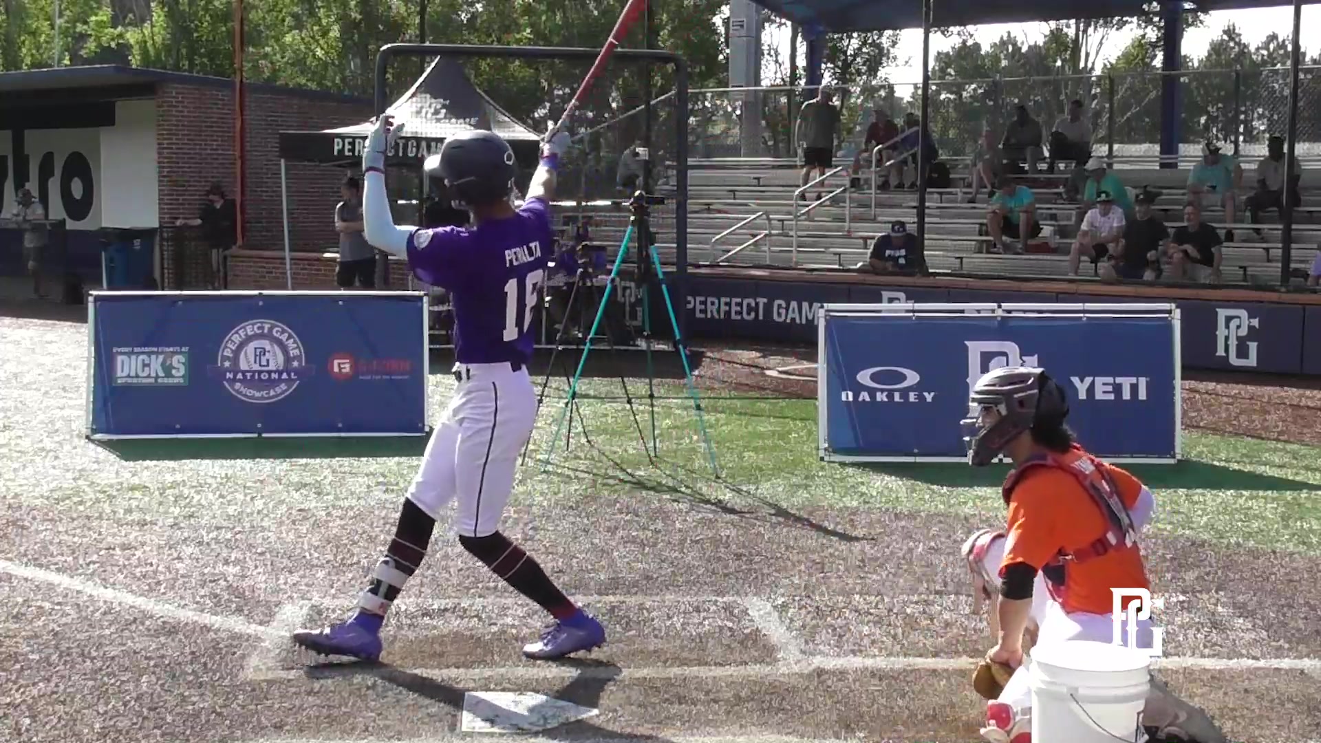 Fabio Peralta | PerfectGame.tv
